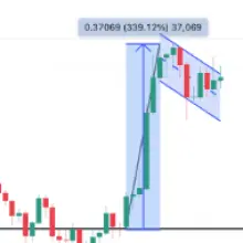 Dogecoin price jumps 13% in minutes on official US DOGE website launch ...